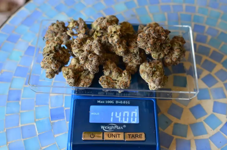 14 Gram Half Ounces – Glass City Smoke Shop